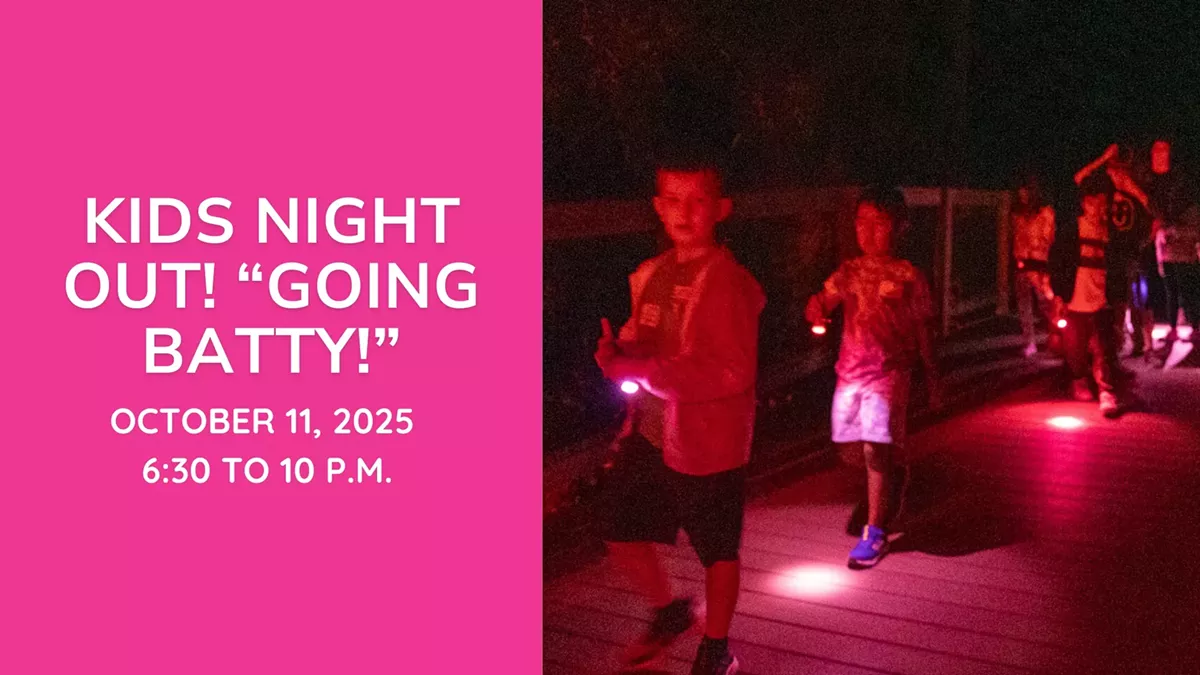 Kids Night Out: Going Batty! | Central Florida Zoo and Botanical ...