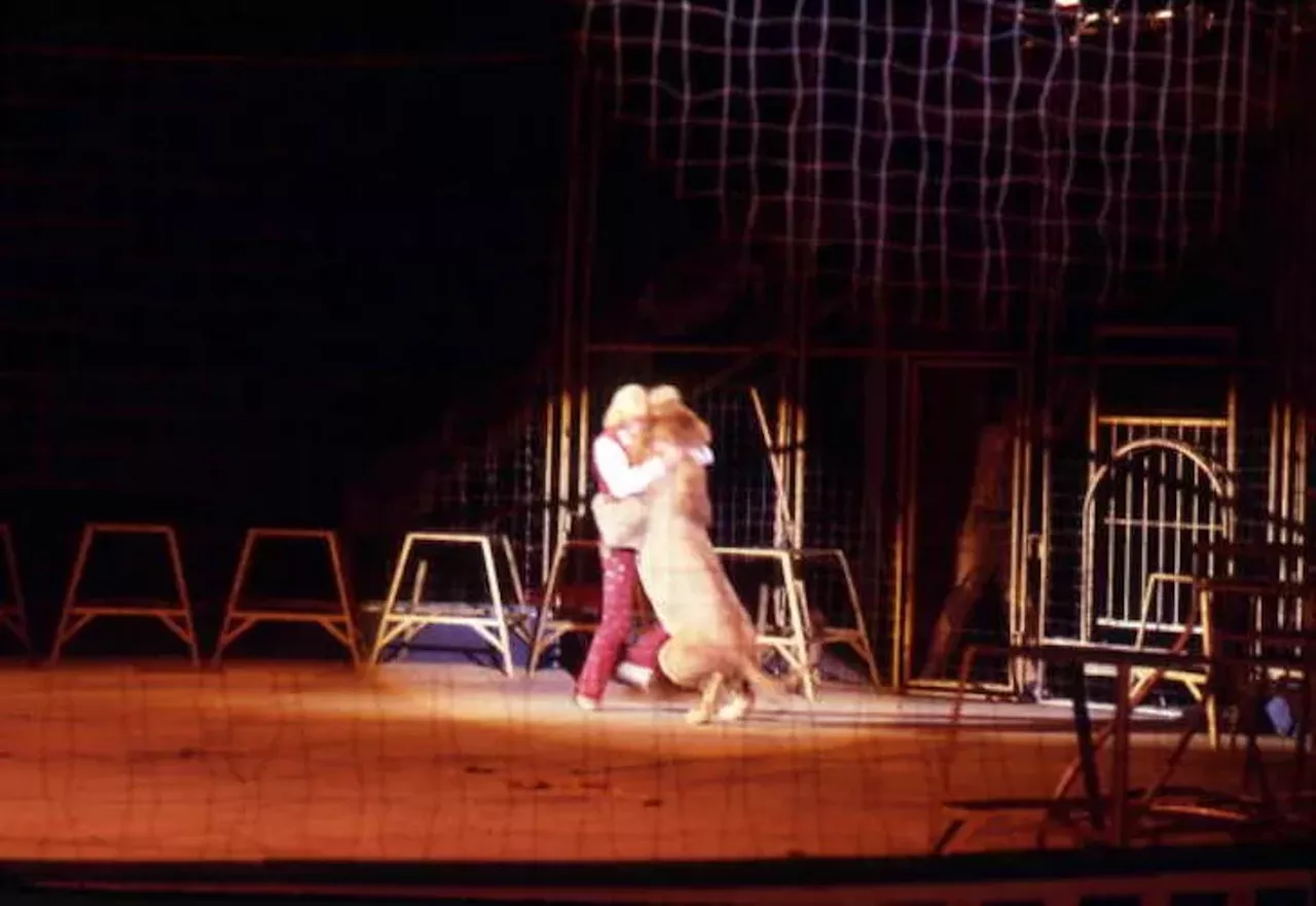 Let's remember the shuttered Orlando theme park Circus World | Orlando ...