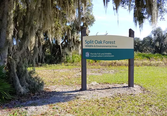 Orange County commissioner says Split Oak Forest toll road approval was ...