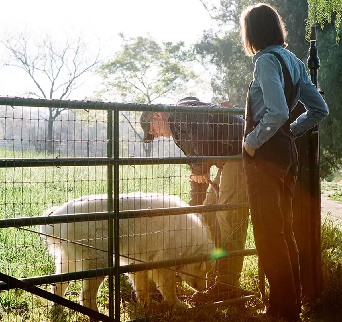 'Biggest Little Farm' is organically endearing | Orlando | Orlando Weekly