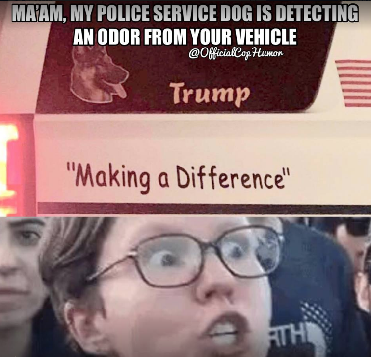 Orange County Sheriff Department K9 named 'Trump' is officially a ...