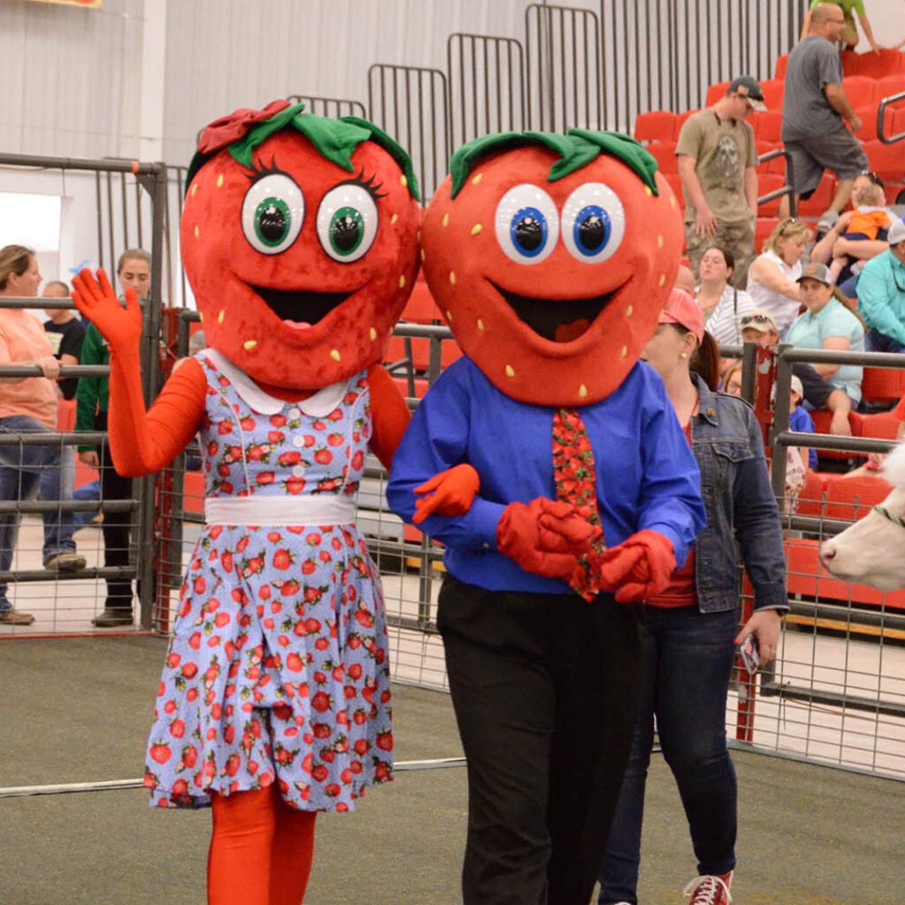 Spring Guide 2023: Don’t miss the best events Orlando has to offer ...